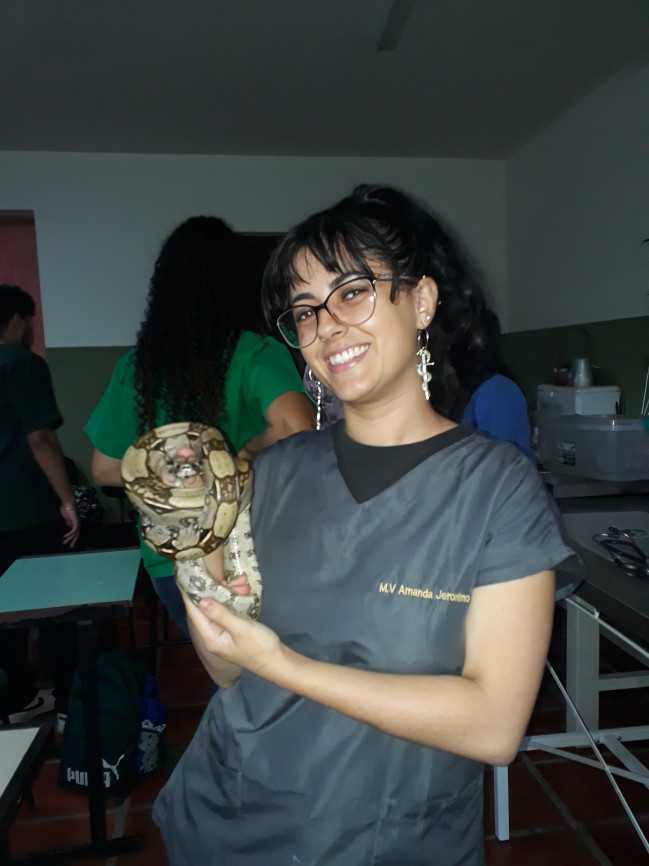 Linvet | Águas de Lindóia | Lindóia | Monte Sião